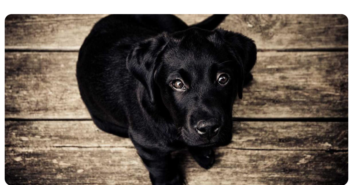 Blog post preview with image slider and content sections - Tailwind AI