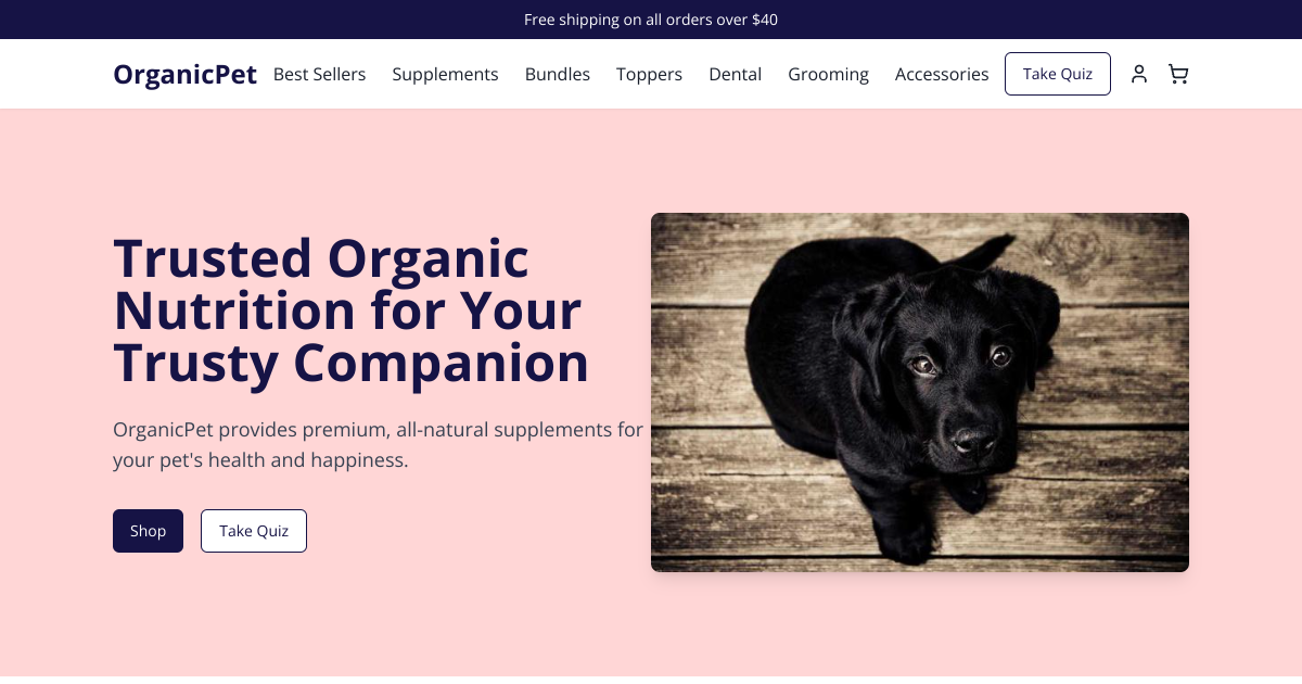 PetFinn Website Clone - CodeRocket
